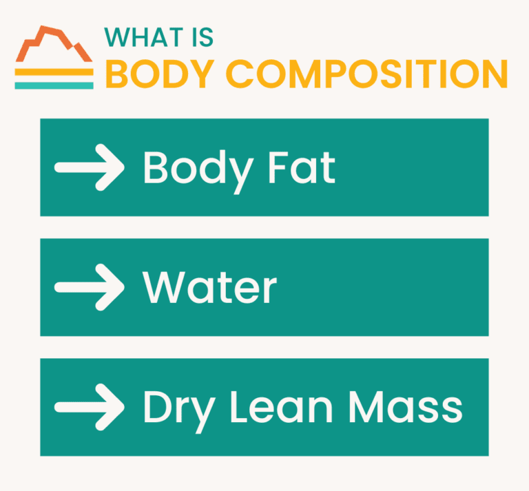 BMI vs. Body Composition: What’s the Difference and Why Should You Care?