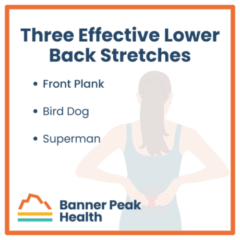 Effective Lower Back Stretches and Exercises to Beat Pain