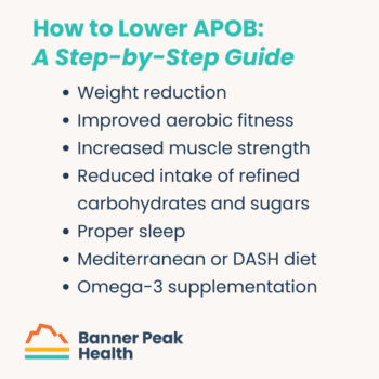 How to Lower APOB for Cholesterol Management and Cardiovascular Health